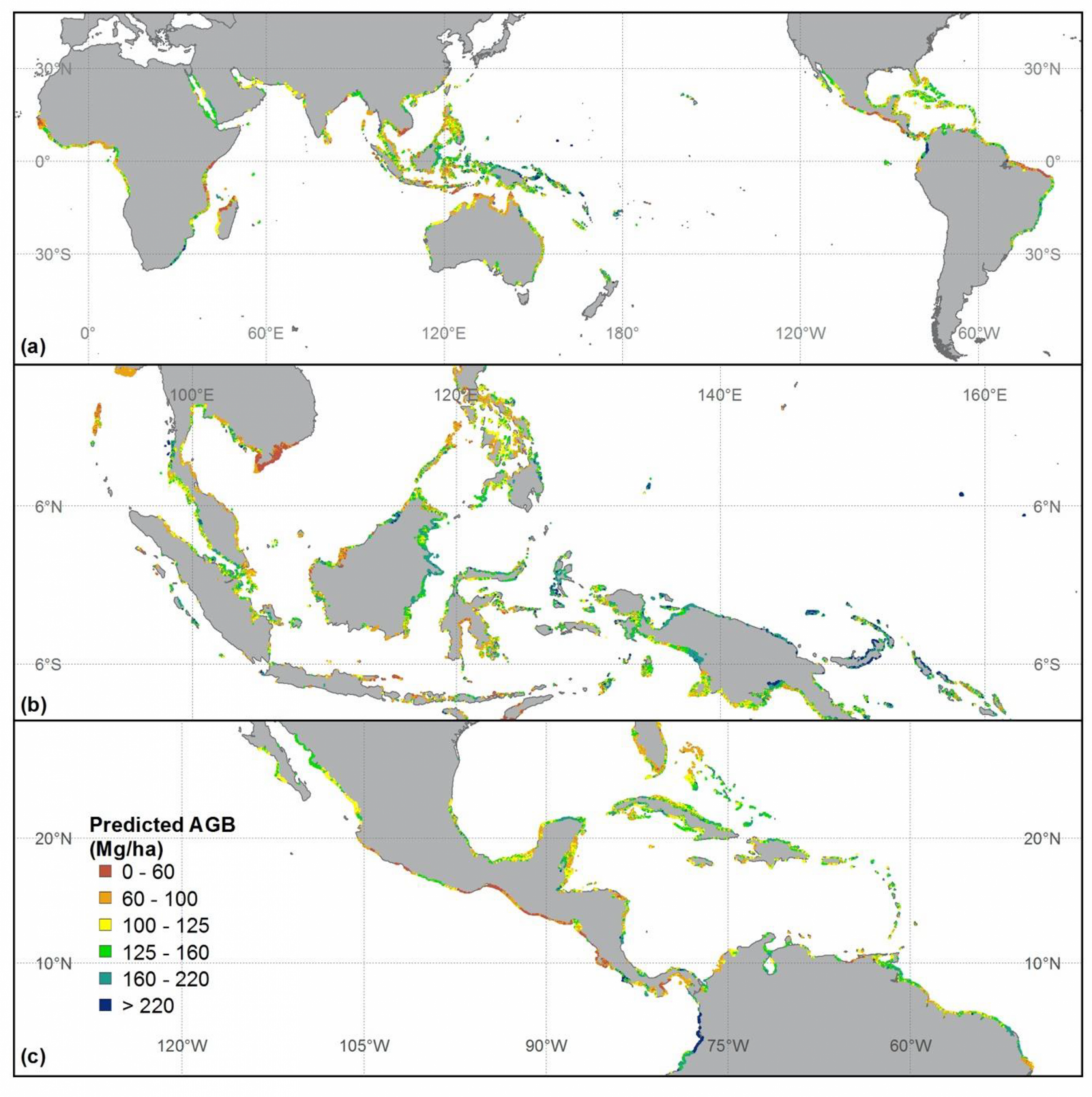 Global mangrove forest AGB map - Be Happy！Be Productive！