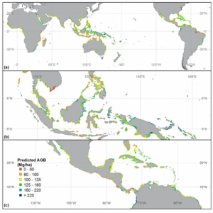 Global mangrove forest AGB map - Be Happy！Be Productive！